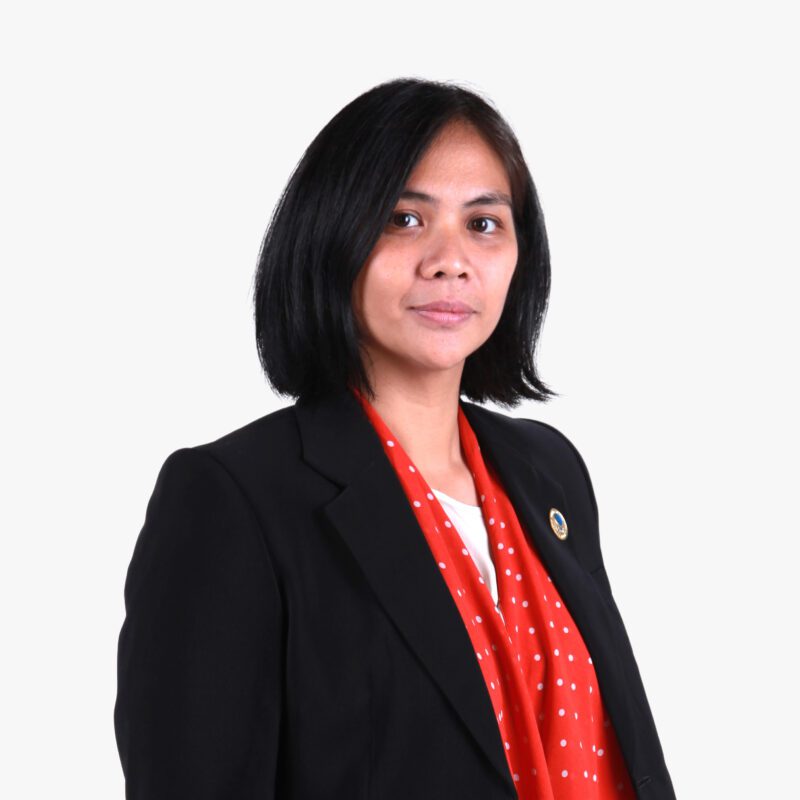 About - Overview - FSD UMN